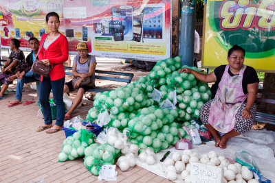 Lao PDR Economic Monitor: Maintaining inclusive and stable Growth