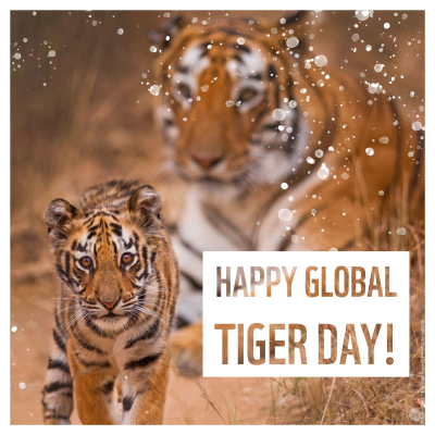 On Global Tiger Day, WWF and Lao Government pave the way for tiger recovery