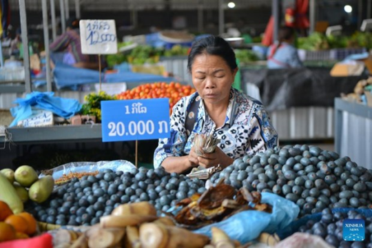 Laos’s inflation continues to rise in January, hits 23-year record