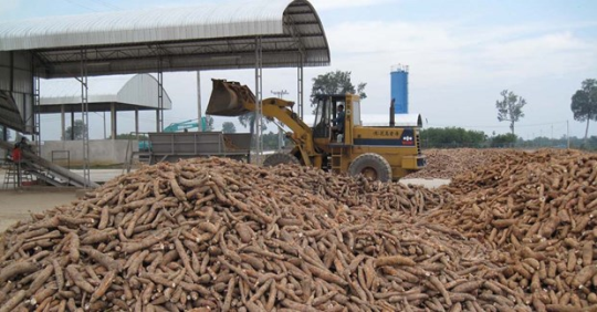 Laos’ agricultural exports expected to exceed 2 billion USD in 2023