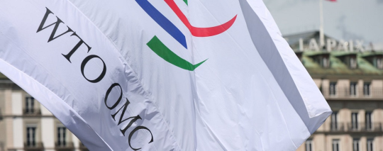 WTO published new edition of trade profiles
