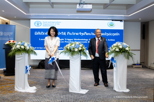 FAO, DMH Launch Disaster Trigger Methodologies For Anticipatory Action ...