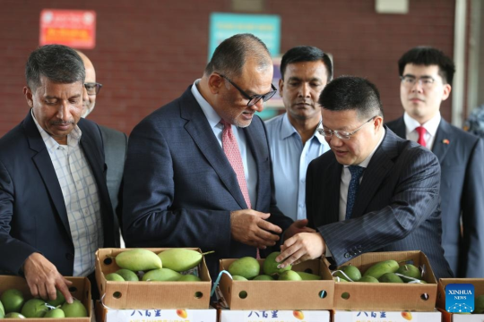 Bangladesh begins exporting mangoes to China
